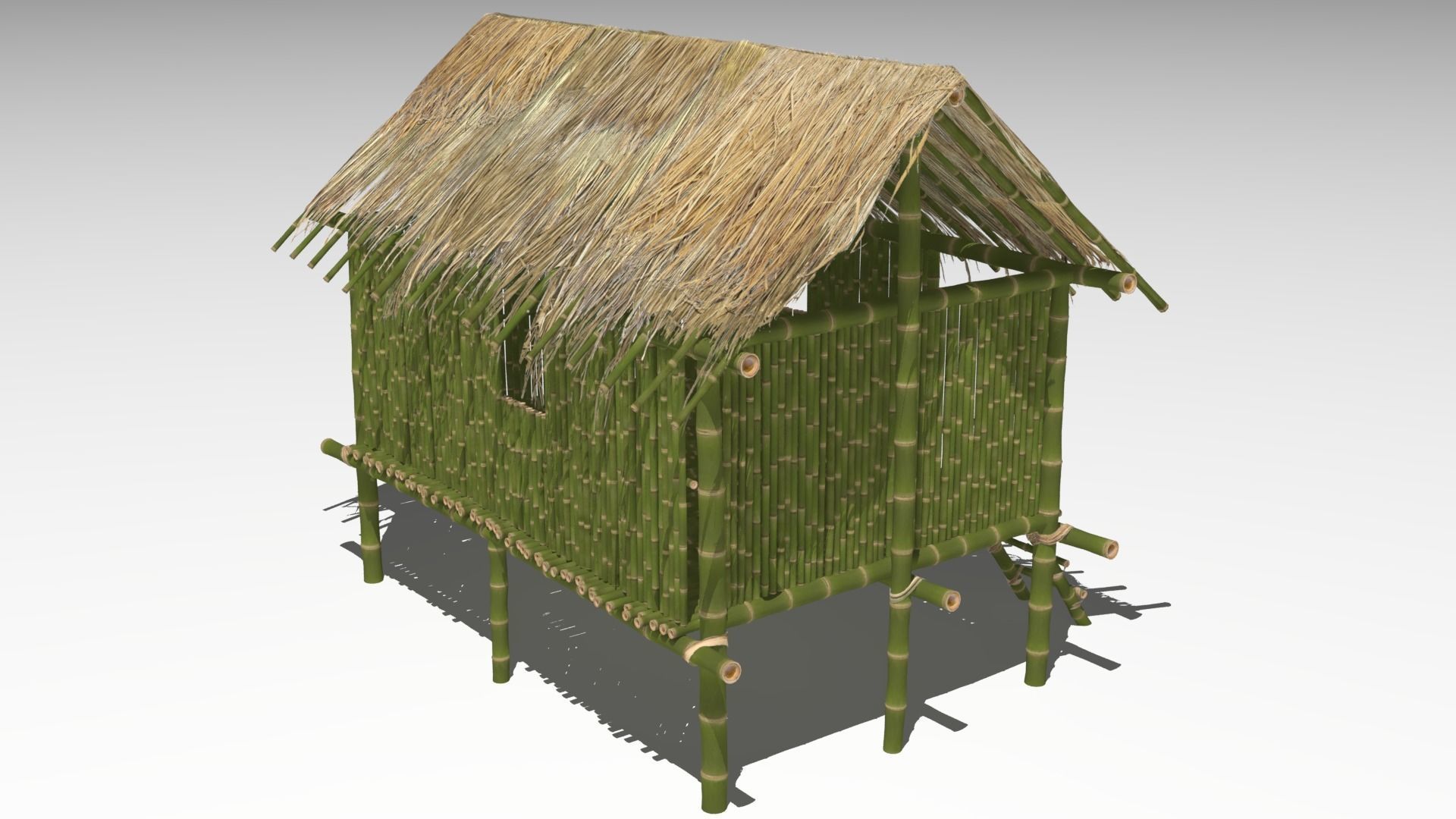 Jungle hut 3D model | CGTrader