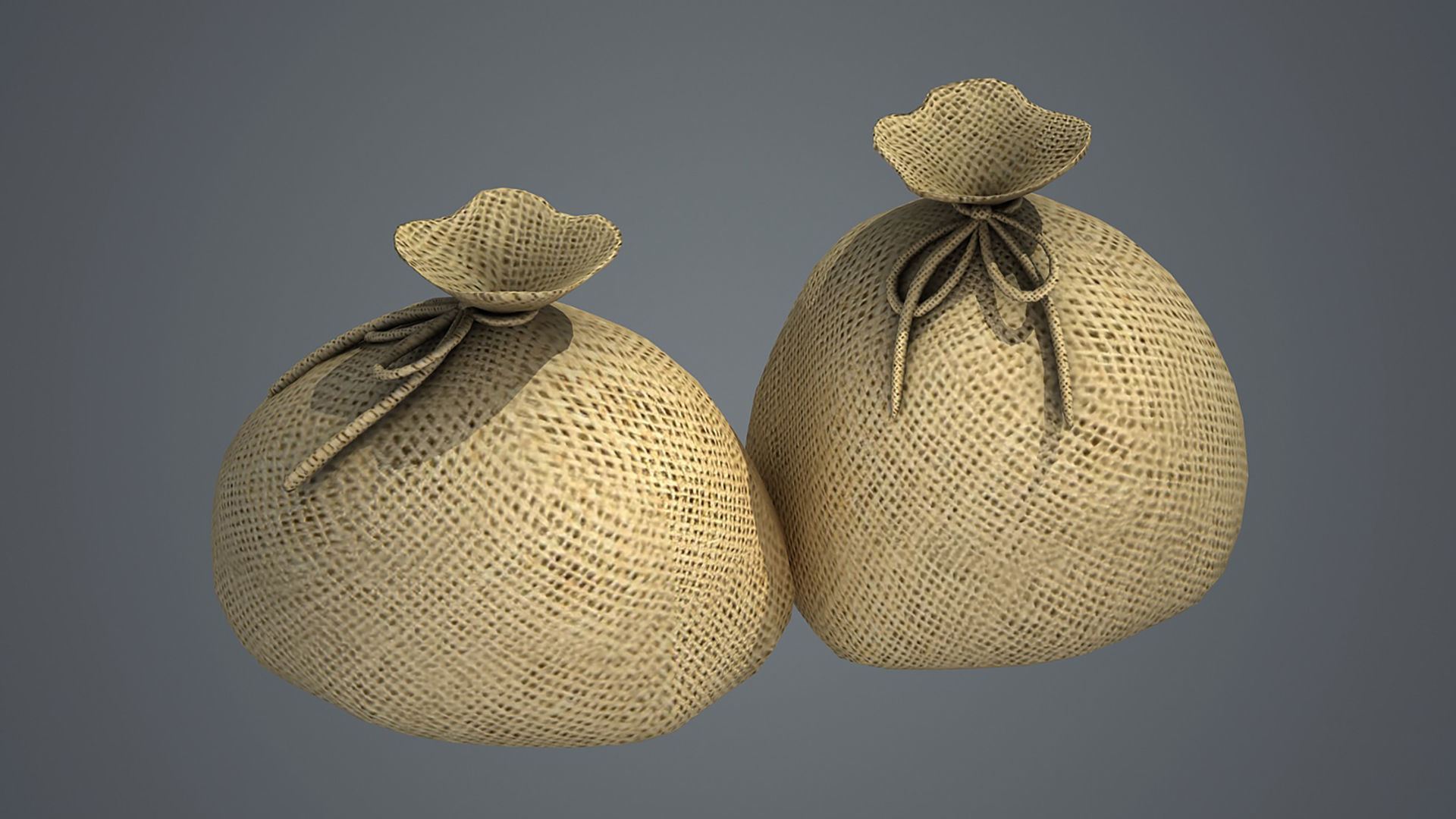 3D Pouch Sack 3D model | CGTrader