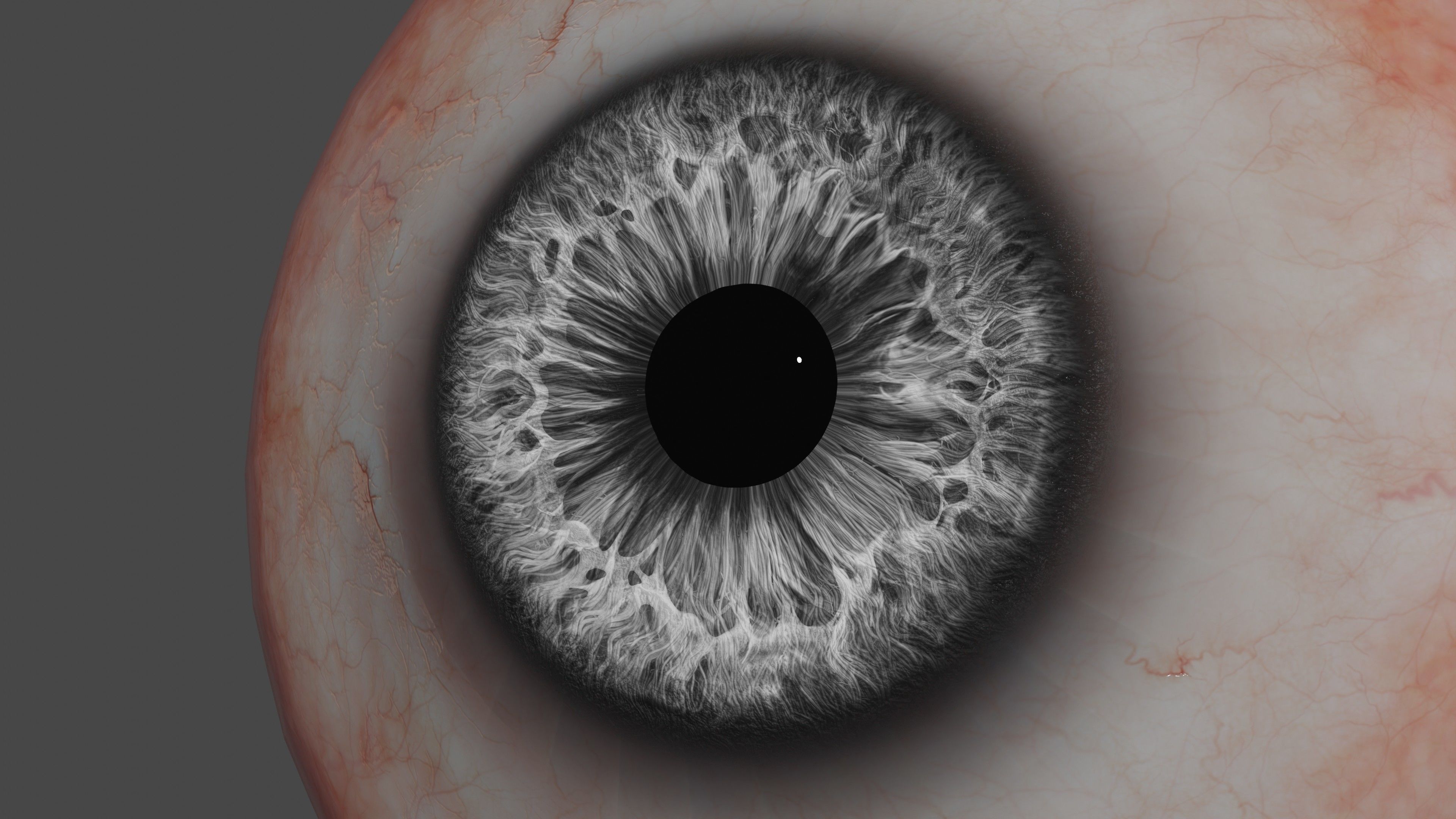 Realistic eyes models pack 3D model | CGTrader