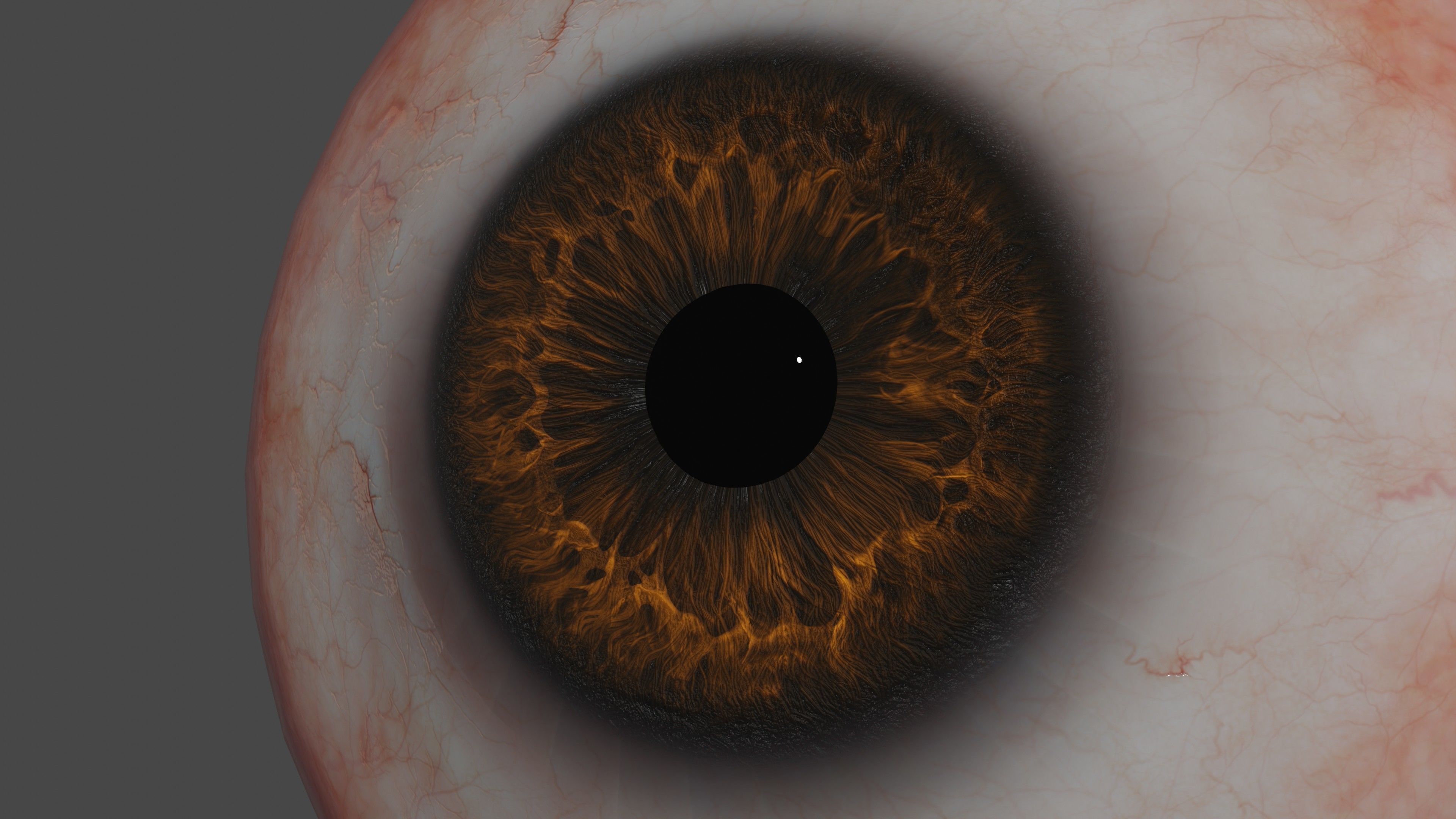 Realistic eyes models pack 3D model | CGTrader