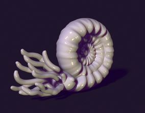 Nautilus shell 3D Print Models | CGTrader