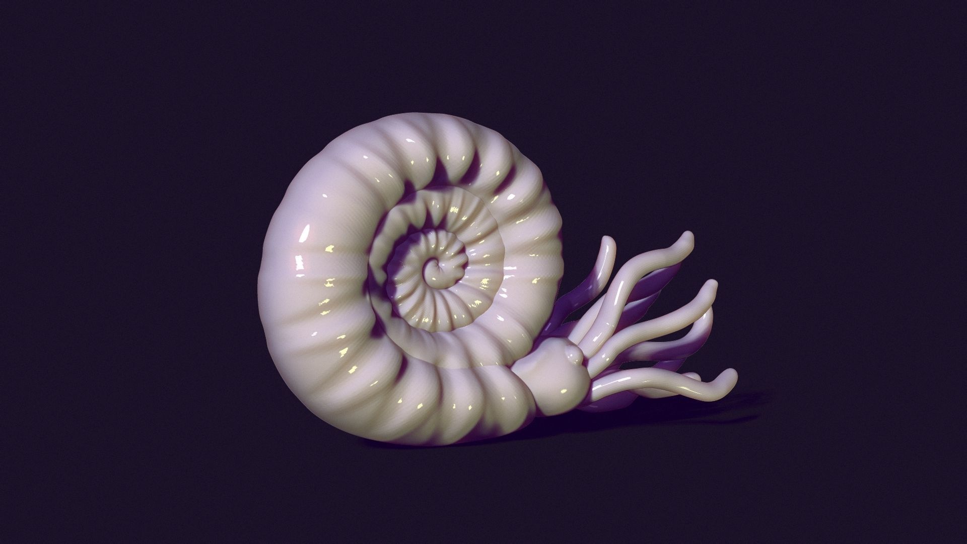 nautilus snail 3D model 3D printable | CGTrader