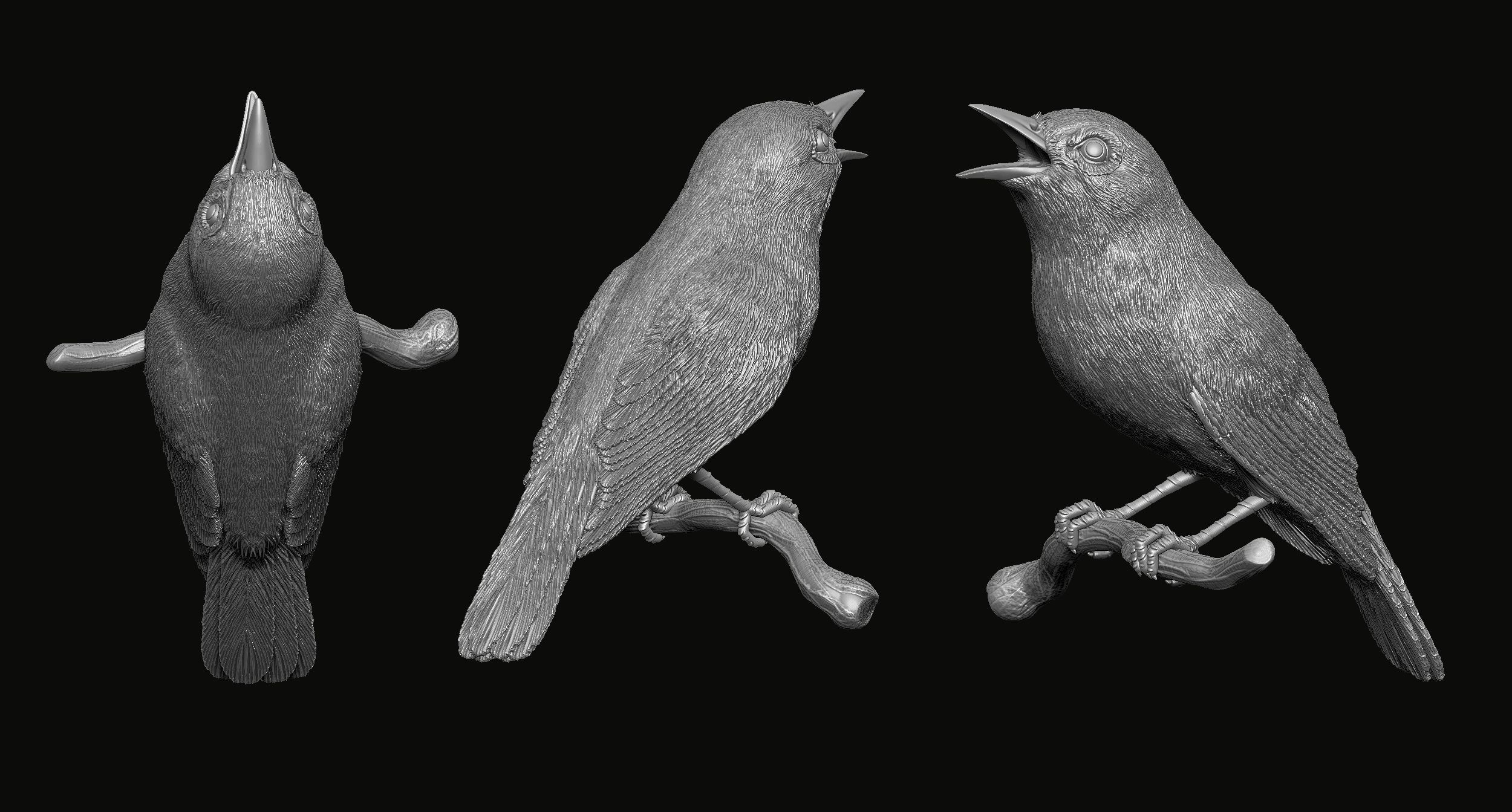 White-eye Bird 3D model 3D printable | CGTrader