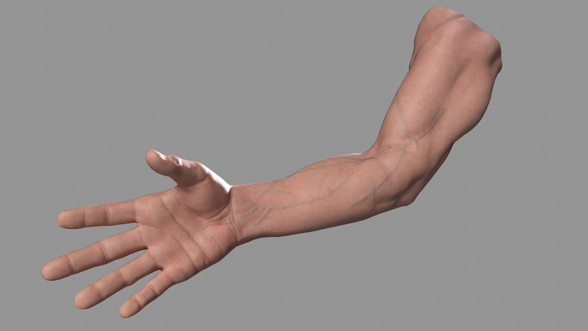 3D model Hand Arms VR / AR / low-poly | CGTrader