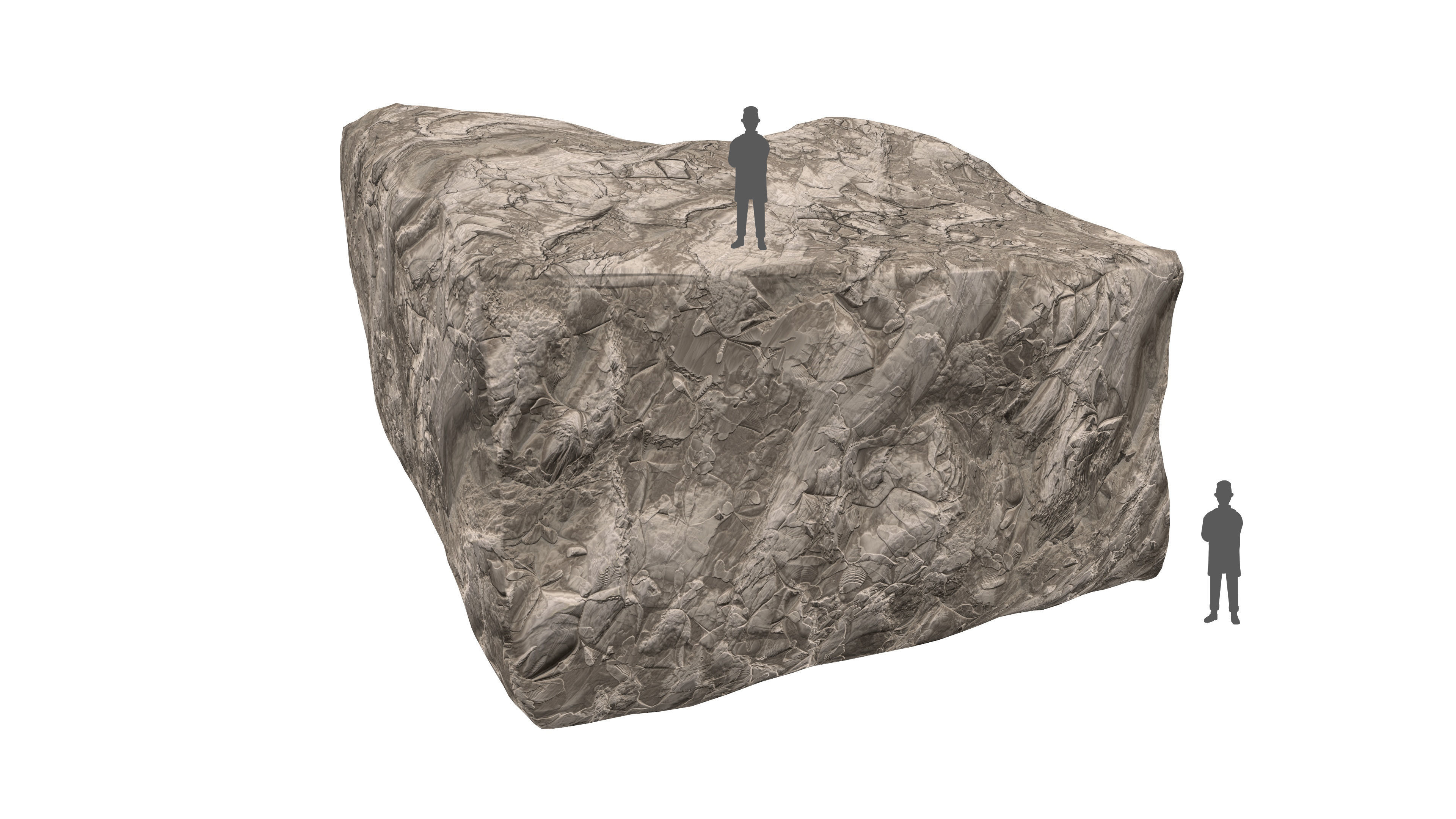 3D model Cliff Rock 3D Model AR VR PBR VR / AR / low-poly | CGTrader