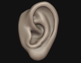 Ear 3D Print Models | CGTrader