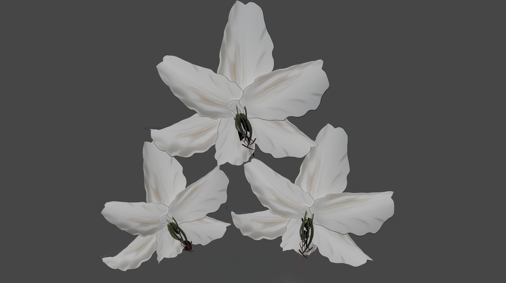 Lilly flower free VR / AR / low-poly 3D model | CGTrader