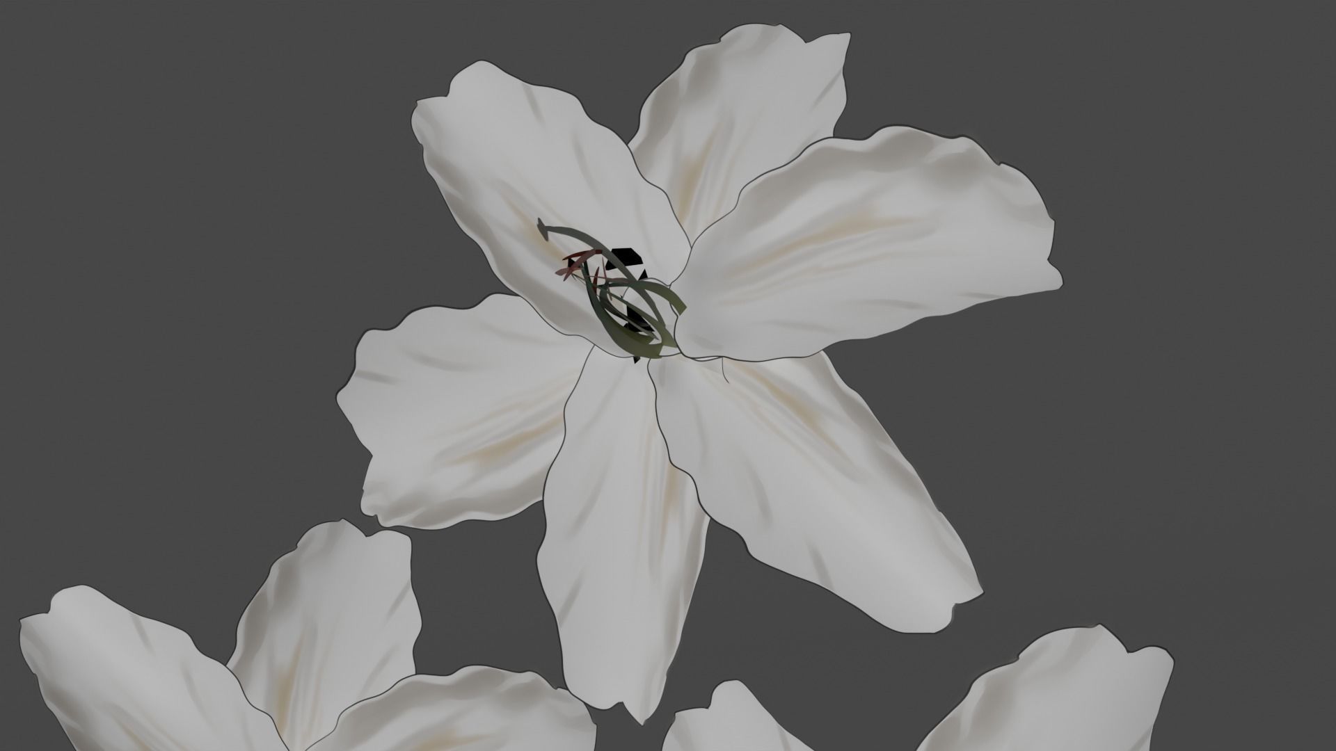 Lilly flower free VR / AR / low-poly 3D model | CGTrader
