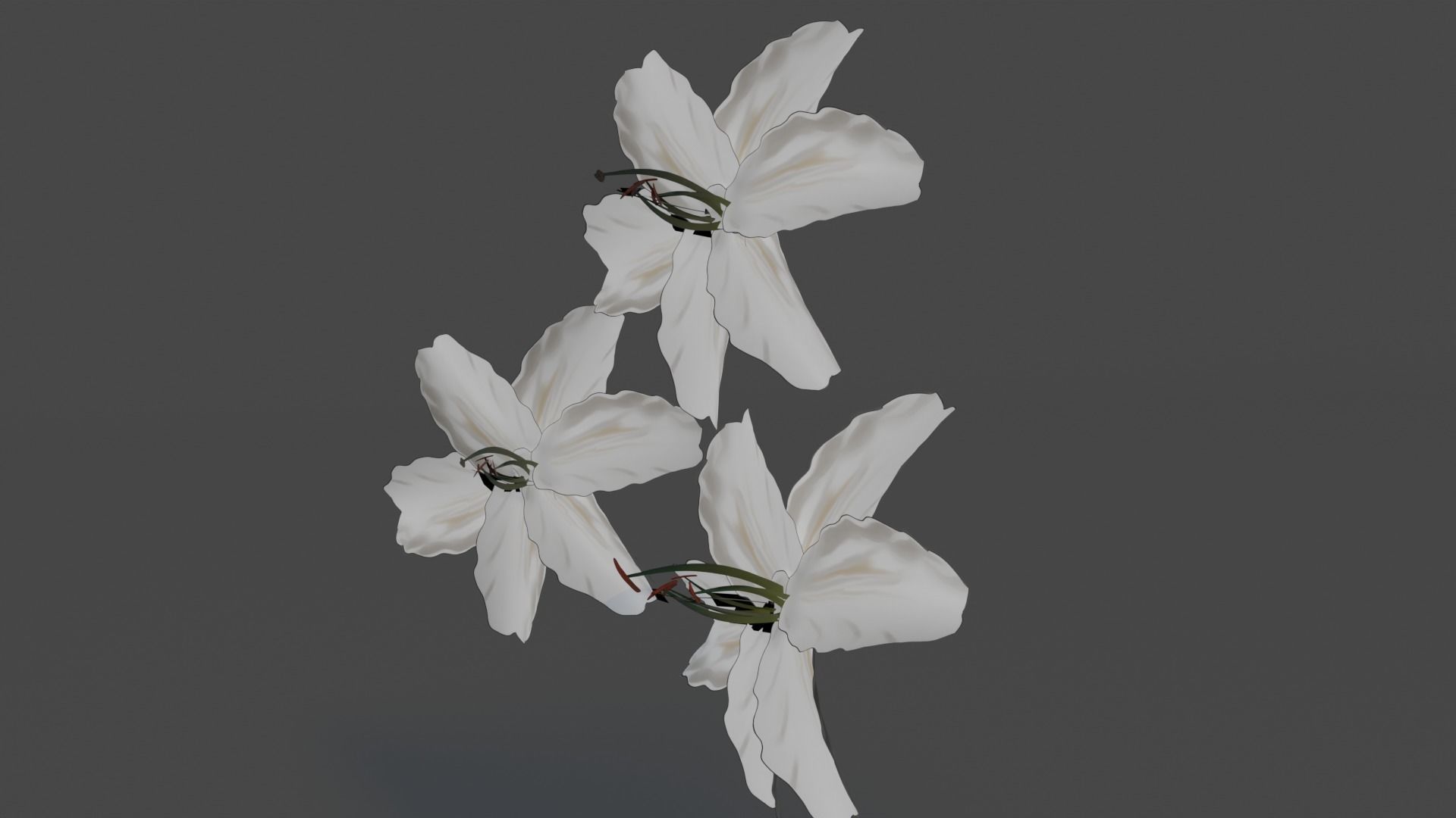 Lilly flower free VR / AR / low-poly 3D model | CGTrader