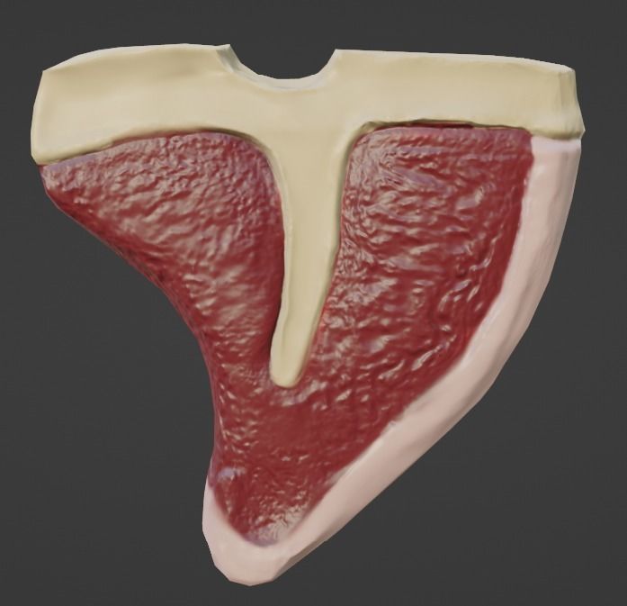 3D model Raw T-bone Steak VR / AR / low-poly | CGTrader