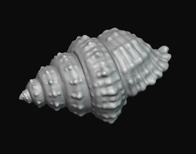 Shell 3D Printing Models | CGTrader