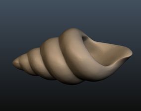 Conch shell 3D Printing Models | CGTrader