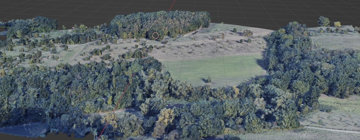 Projekt 3 forest free 3D model | CGTrader