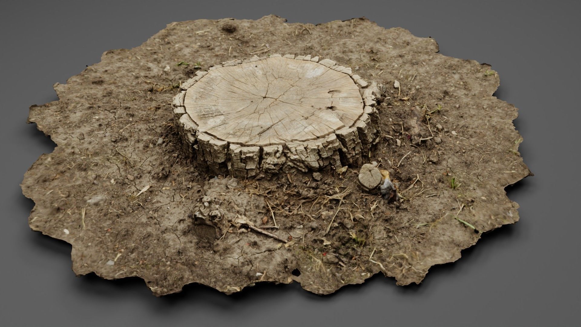 Tree trunk raw scan 3D model | CGTrader