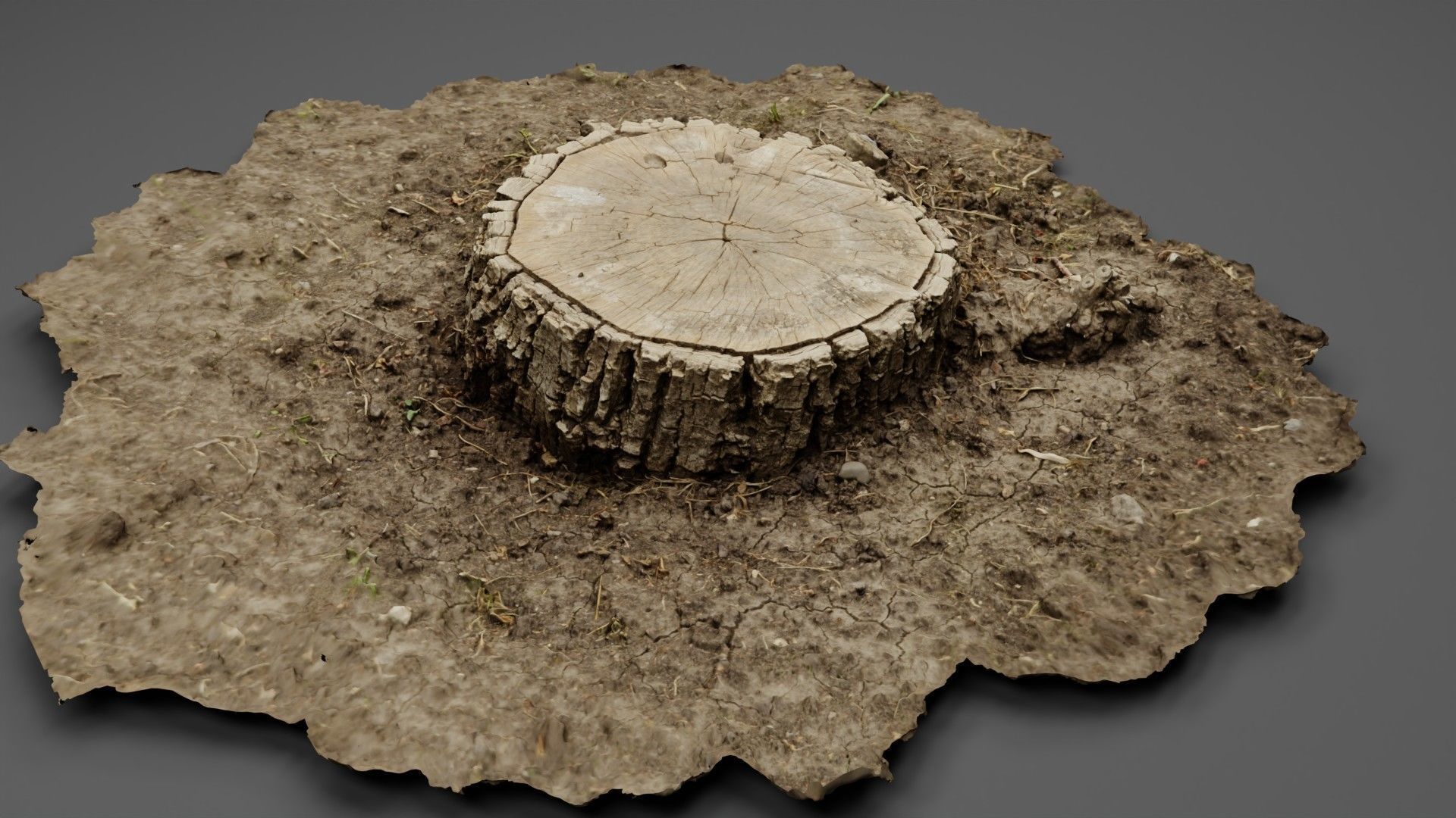Tree trunk raw scan 3D model | CGTrader