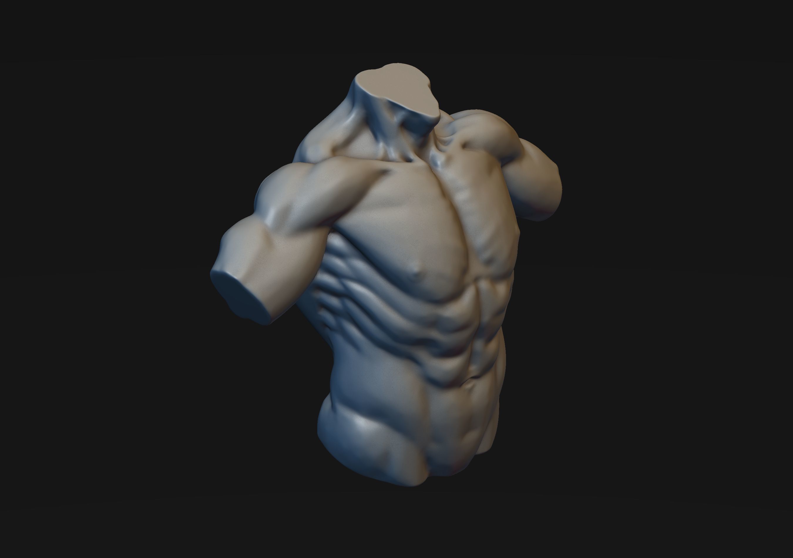 Male Torso 3D model 3D printable | CGTrader