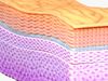 Epidermis Cross Section 3D model | CGTrader