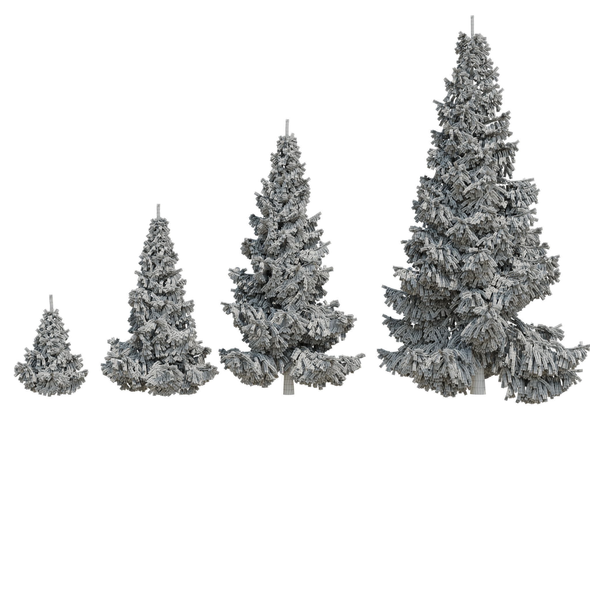 Spruce 4m and less 3D model | CGTrader
