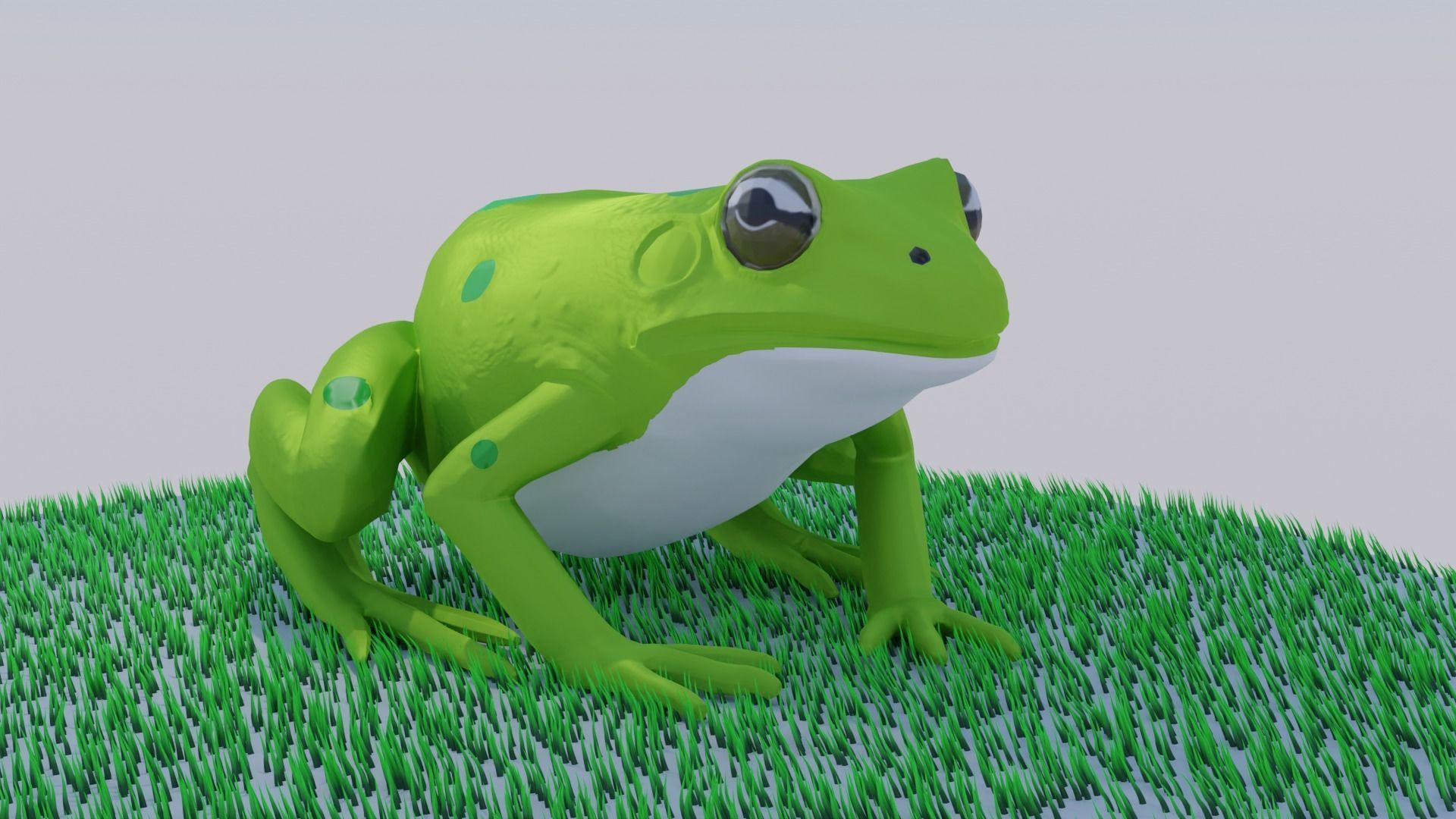 Frog realistic high poly 3D model on grass 3D model | CGTrader