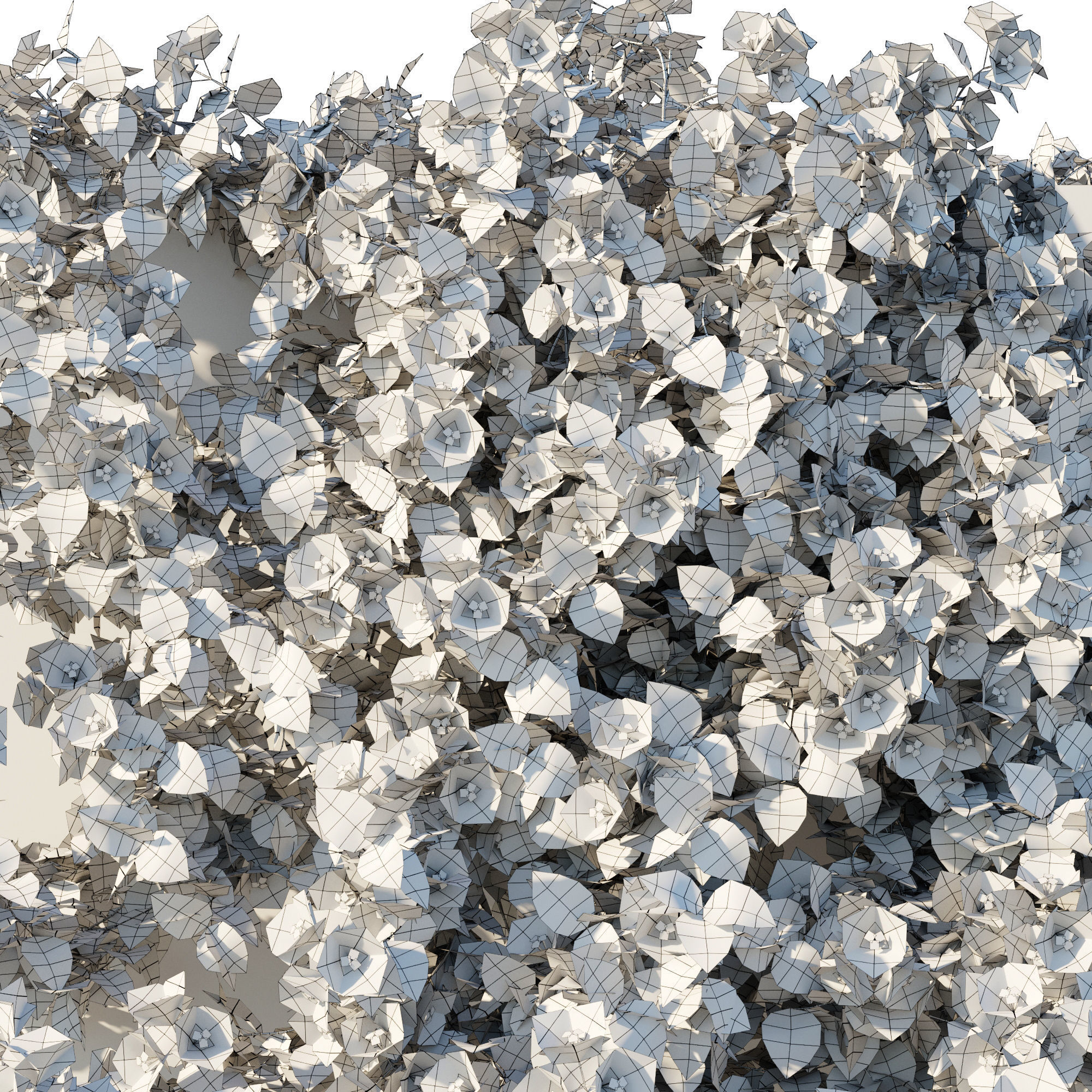 Vines Bougainvillea 04 3D model | CGTrader