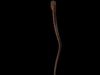 Staff - Wand - Walking Stick - Detailed low-poly Game Asset PBR 3D ...