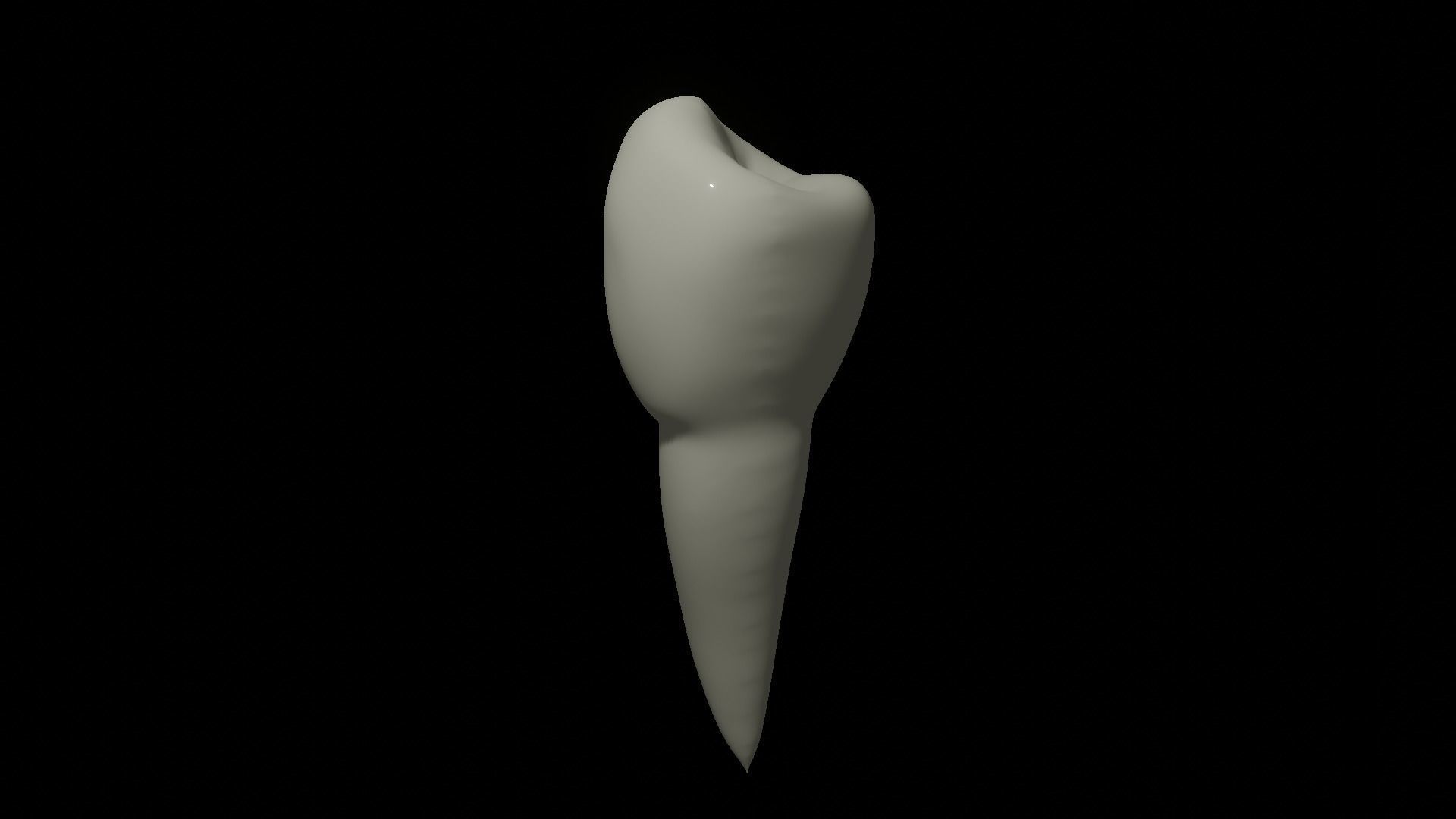 Mandibular First Premolar 3d Model Cgtrader