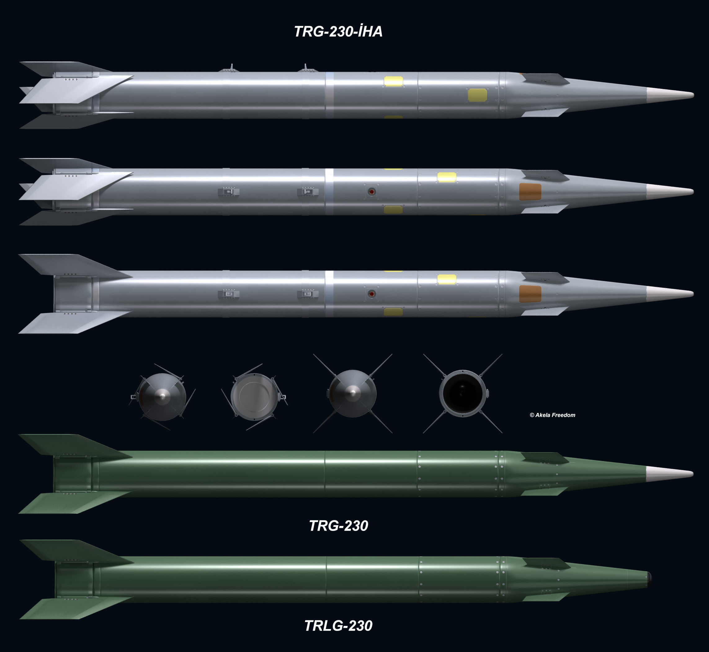 TRG-230 Family of guided missiles 3D model animated | CGTrader