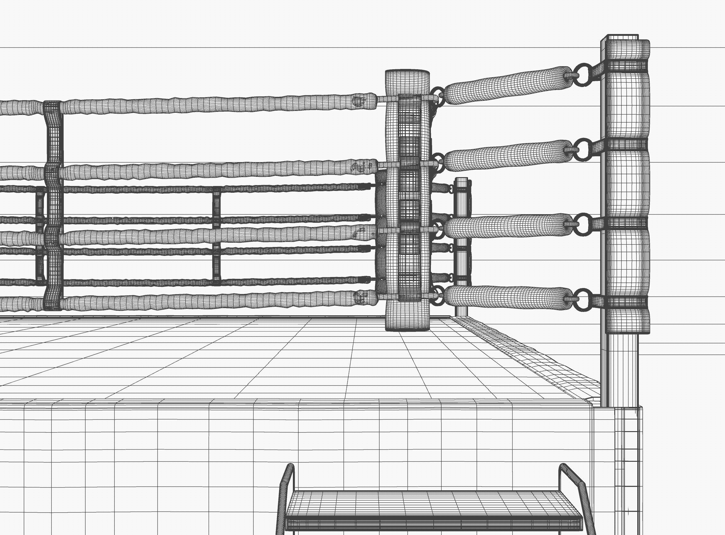 Boxing Ring REGULATION SIZE 3D model | CGTrader