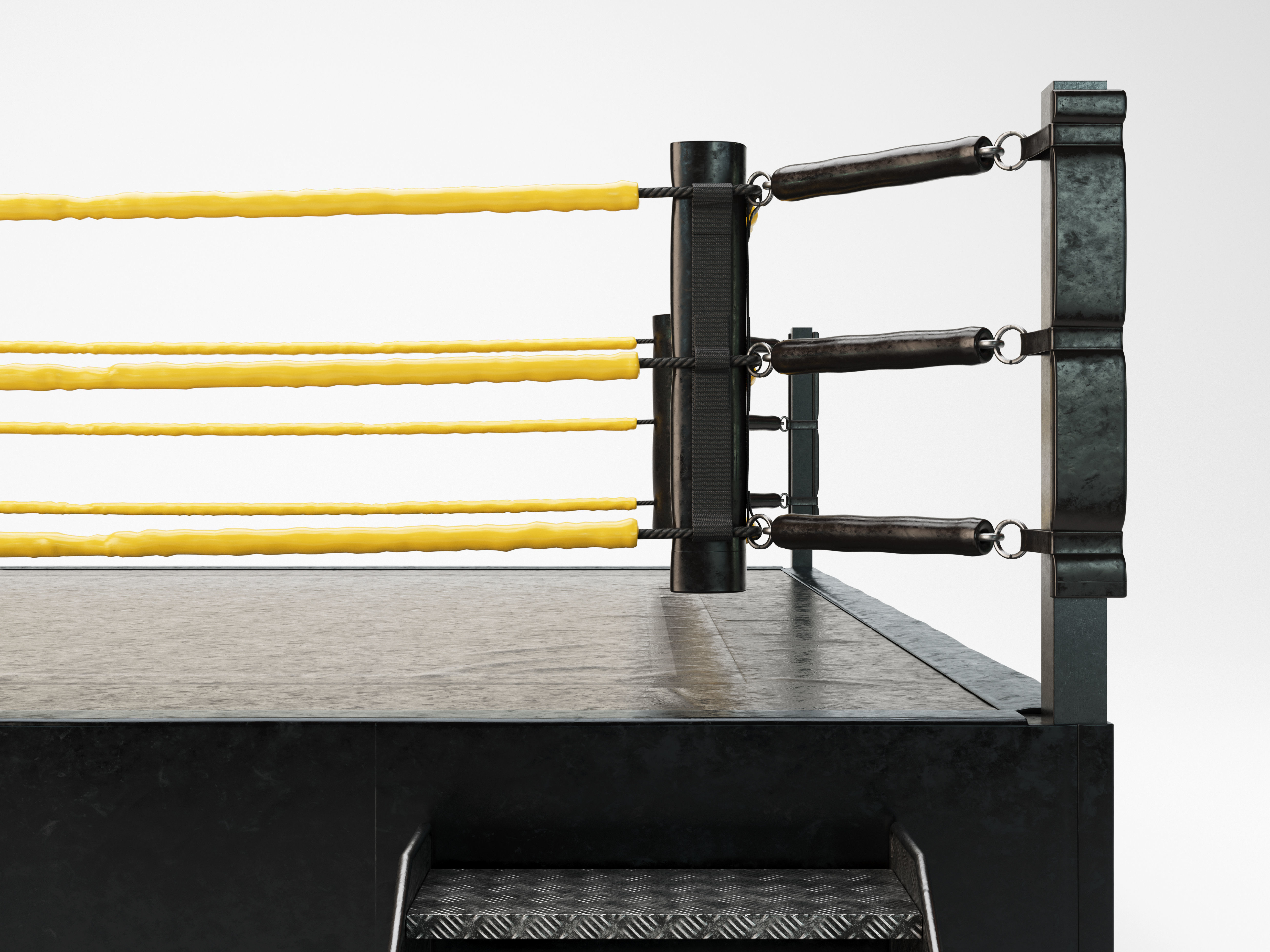 Wrestling Ring REGULATION SIZE 3D model | CGTrader