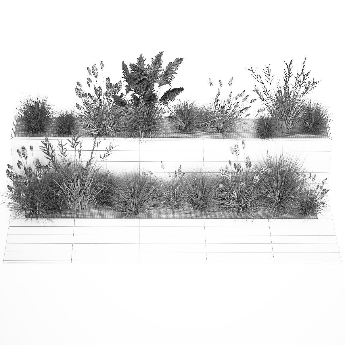 Bushes For Landscaping With Pampas Grass 1169 3D model | CGTrader
