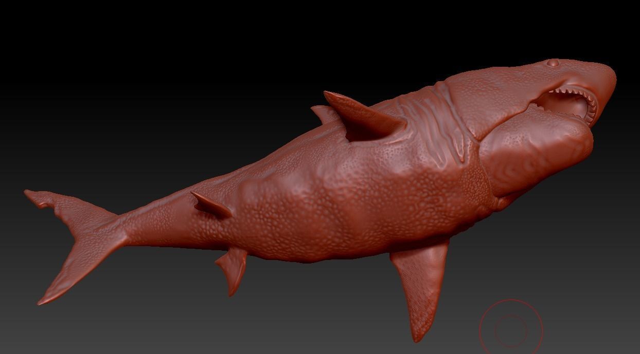 Megalodon SHARK detailed 3D model 3D printable | CGTrader