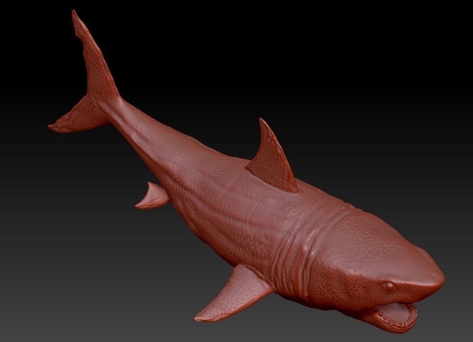 Megalodon SHARK detailed 3D model 3D printable | CGTrader