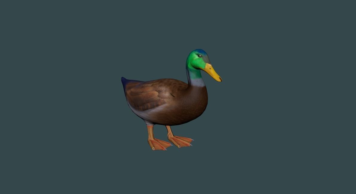 3D model Duck Animated VFX Grace Low-poly VR / AR / low-poly | CGTrader