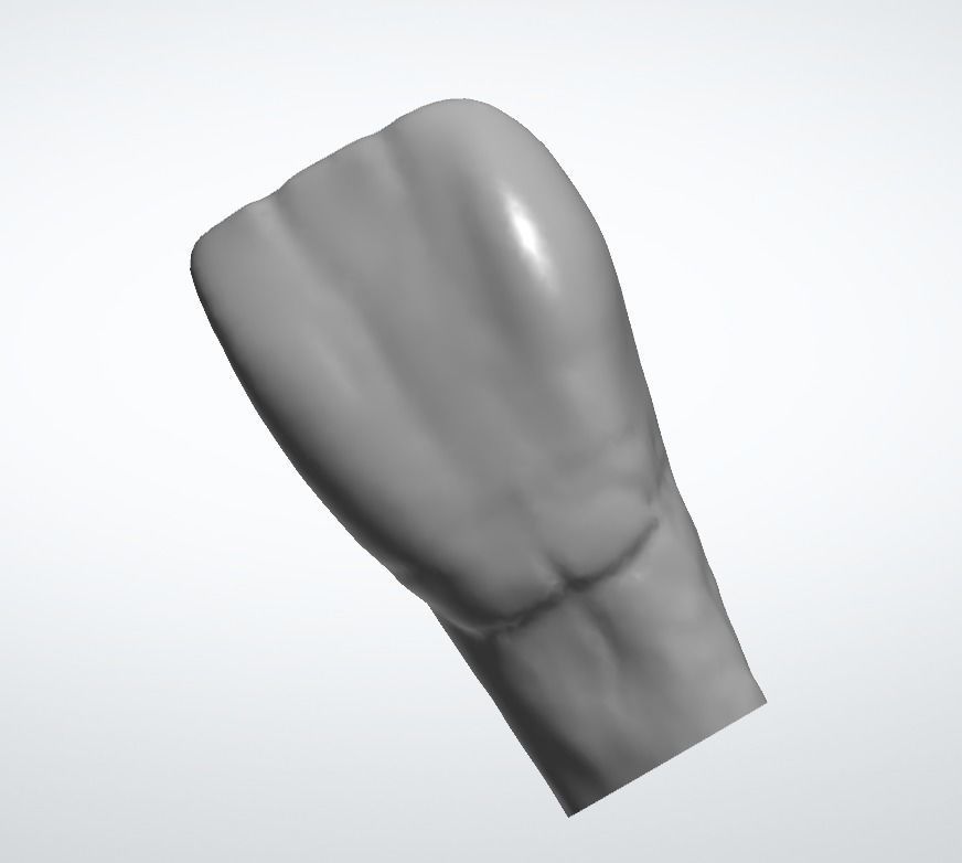 Dental morphology-first incisor 3D model | CGTrader