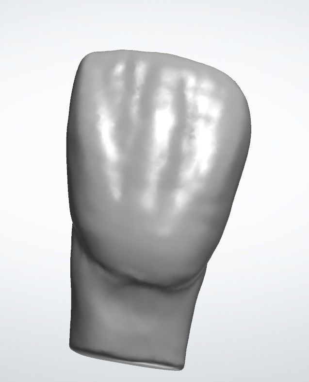 Dental morphology-first incisor 3D model | CGTrader