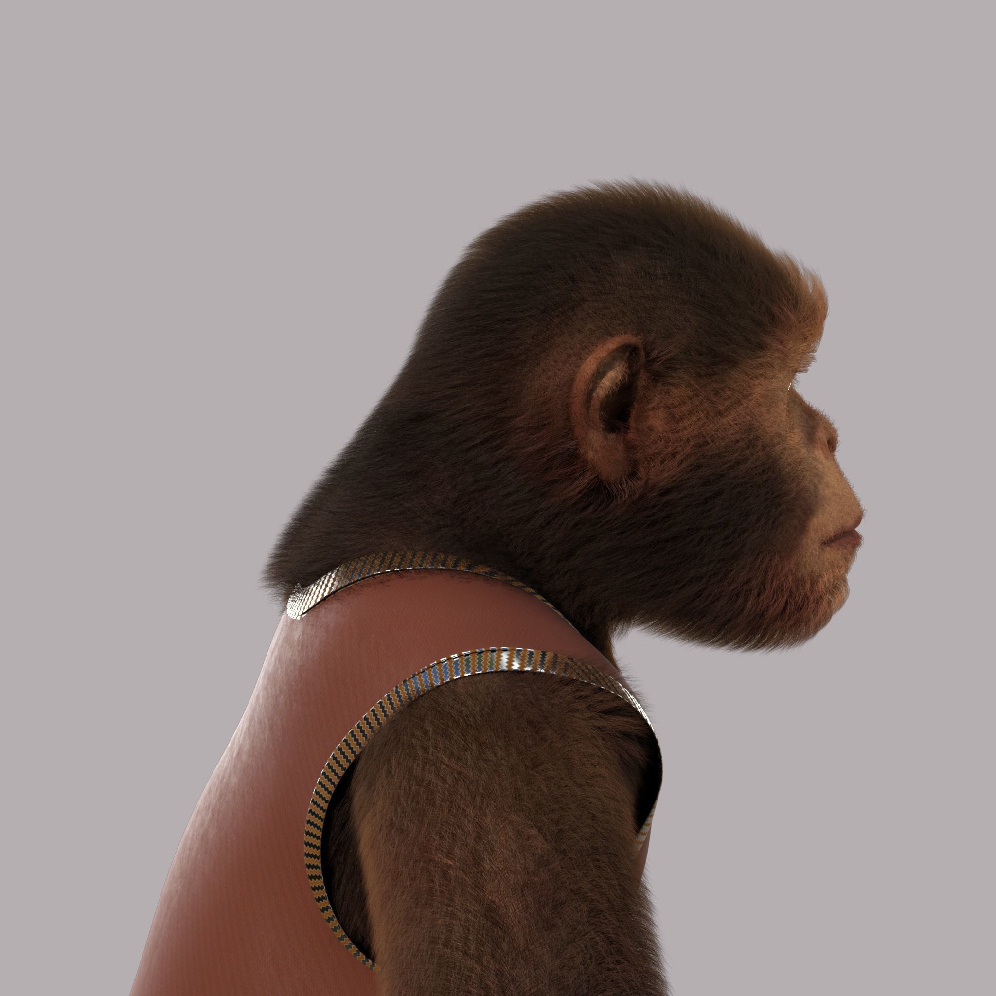 Cartoon Monkey Rigged 3D model rigged | CGTrader