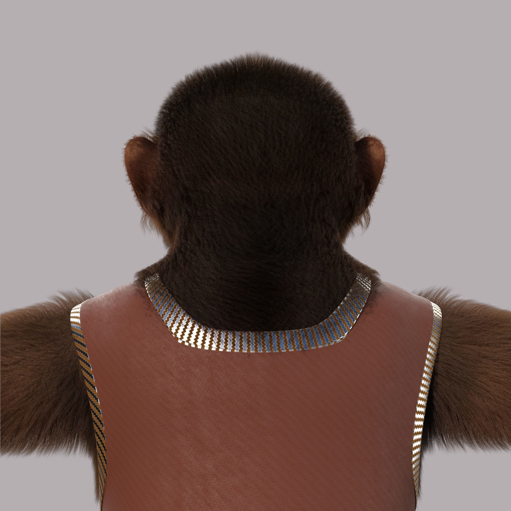 Cartoon Monkey Rigged 3D model rigged | CGTrader