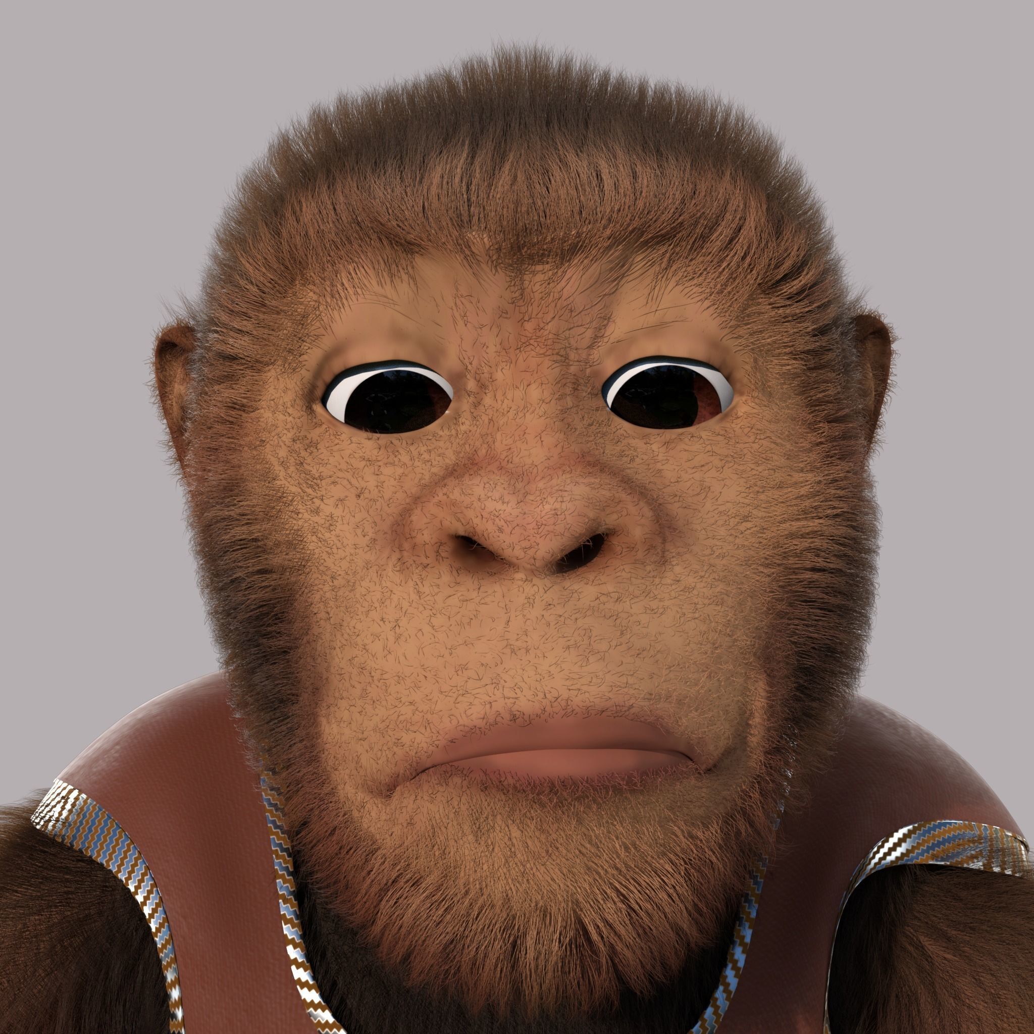 Cartoon Monkey Rigged 3D model rigged | CGTrader