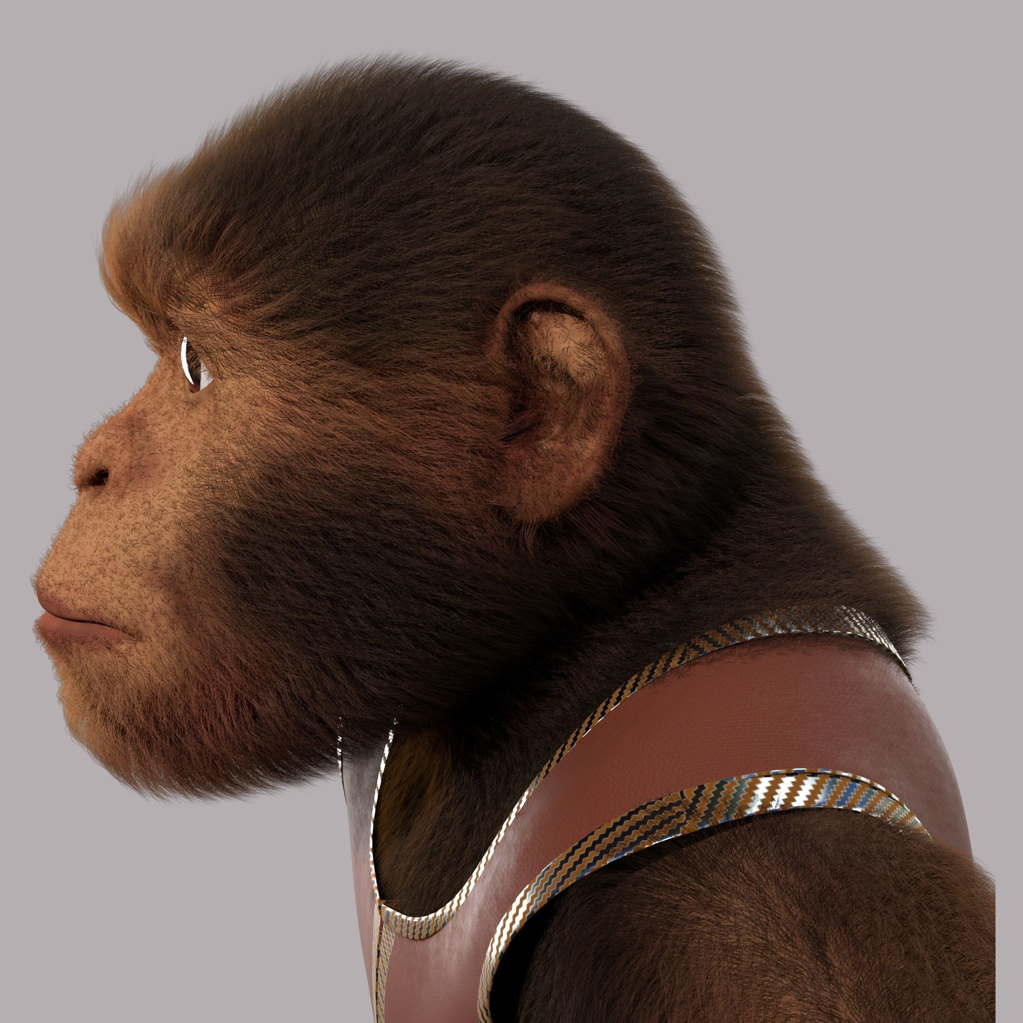 Cartoon Monkey Rigged 3D model rigged | CGTrader