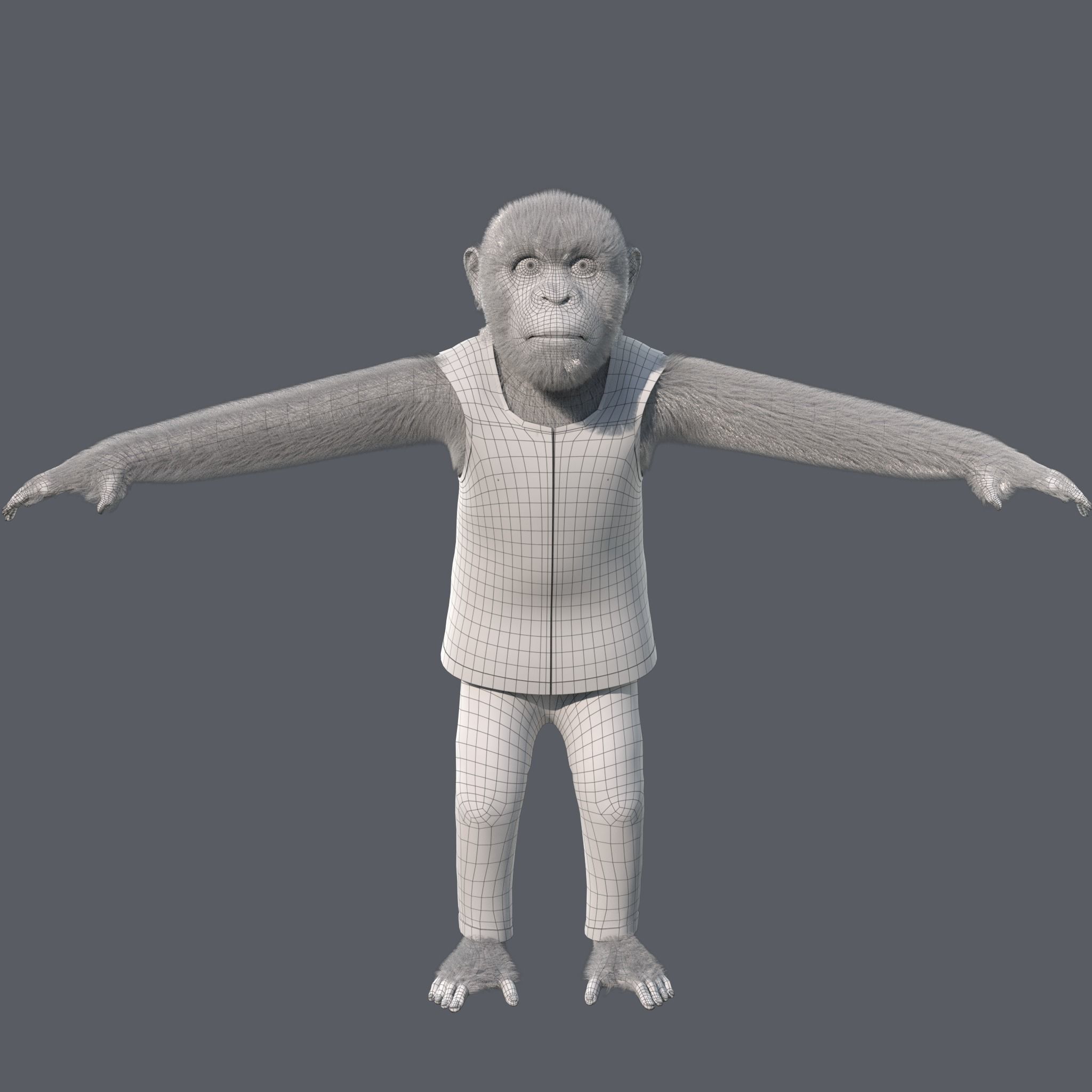 Cartoon Monkey Rigged 3D model rigged | CGTrader