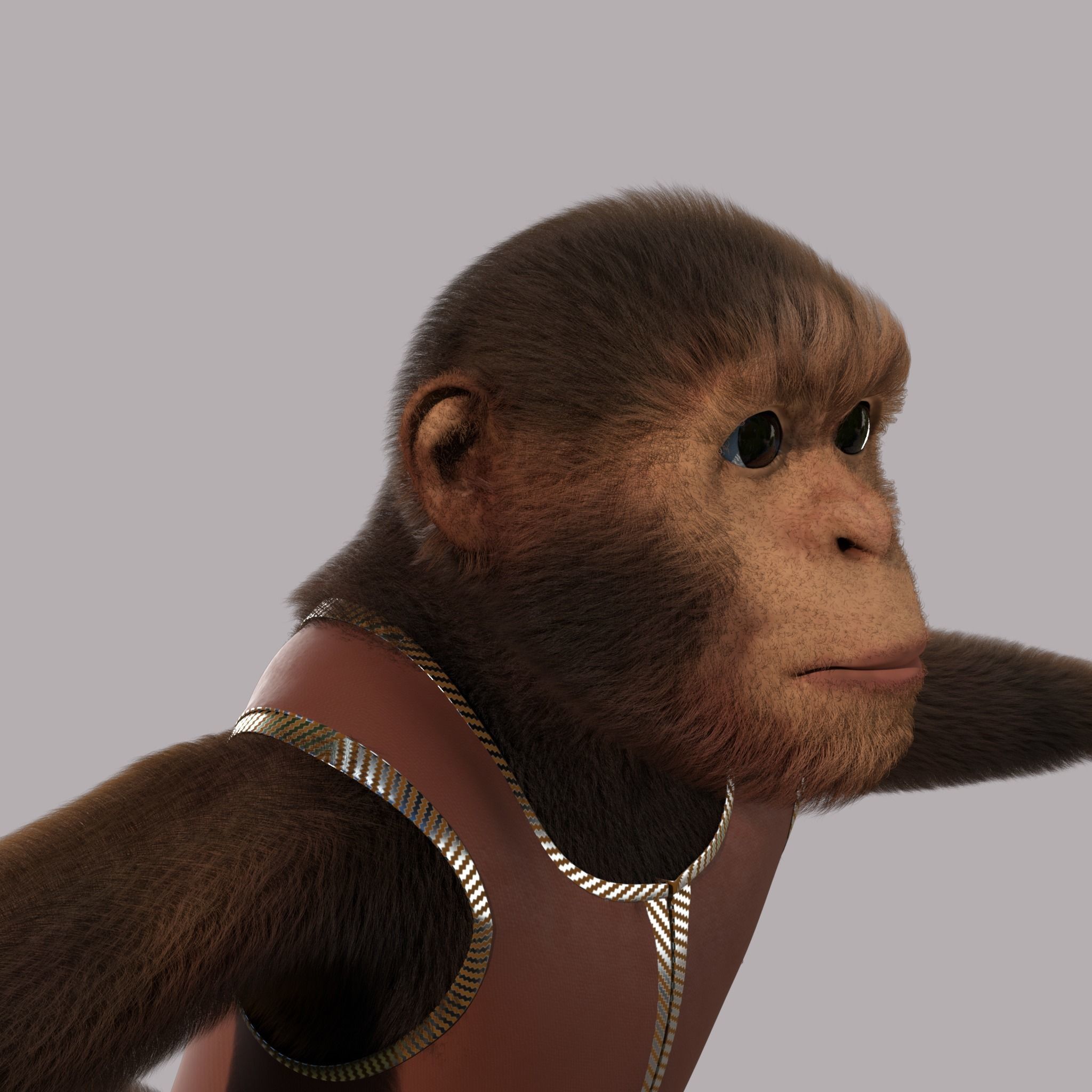 Cartoon Monkey Rigged 3D model rigged | CGTrader