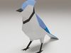 Bird - Blue Jay 3D model 3D printable | CGTrader