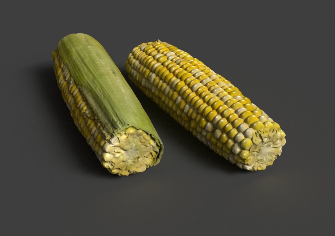 Corn cob with and without husk 3D model | CGTrader