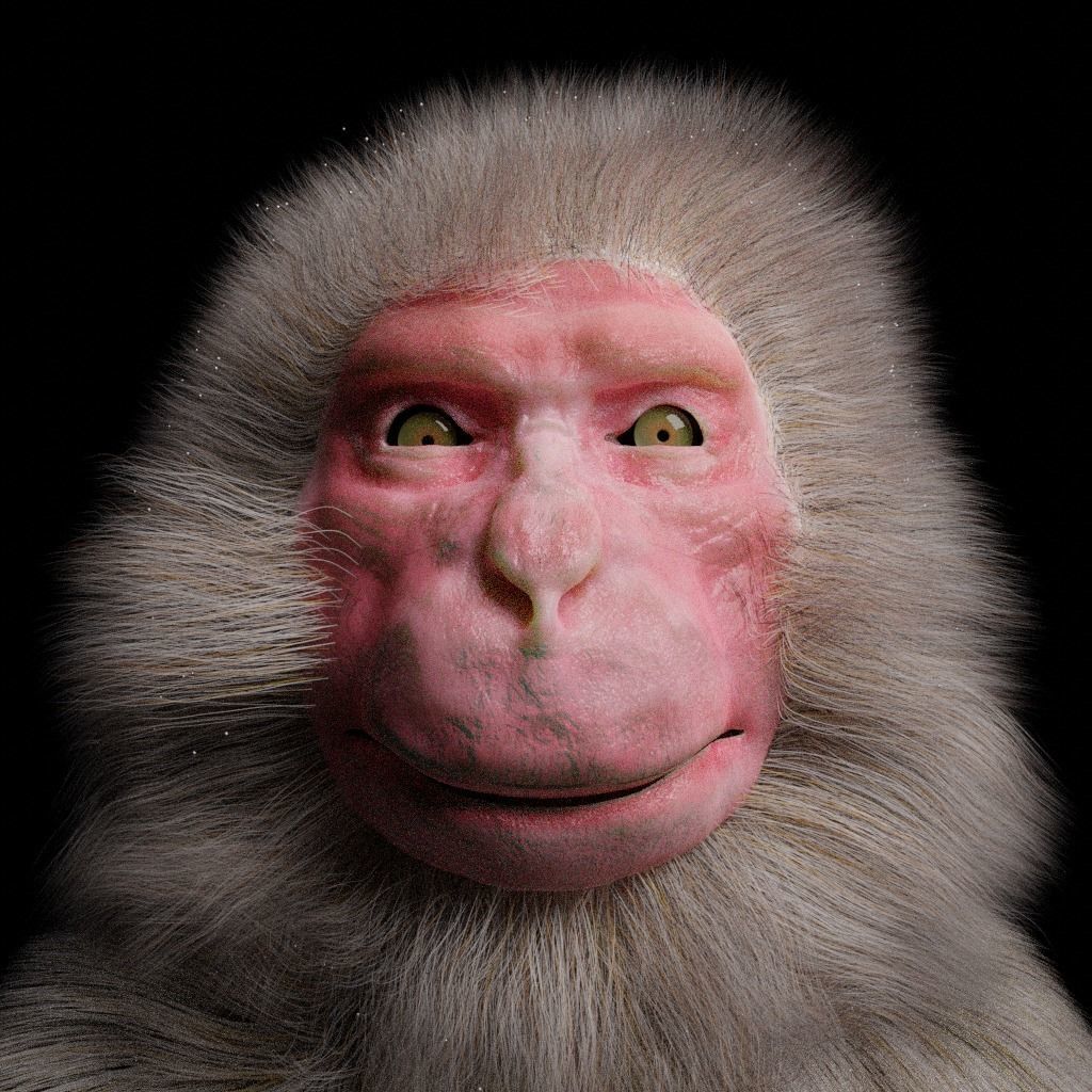 Japanese macaque monkey free 3D model rigged | CGTrader