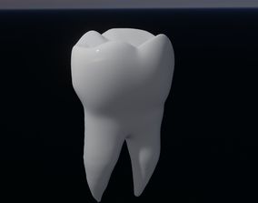 Mandibular 3D Models | CGTrader
