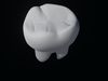 Mandibular First Molar Tooth 3D model | CGTrader