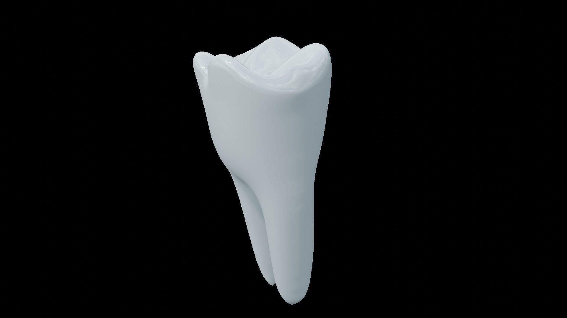 Manibular Second Molar Tooth 3D model | CGTrader