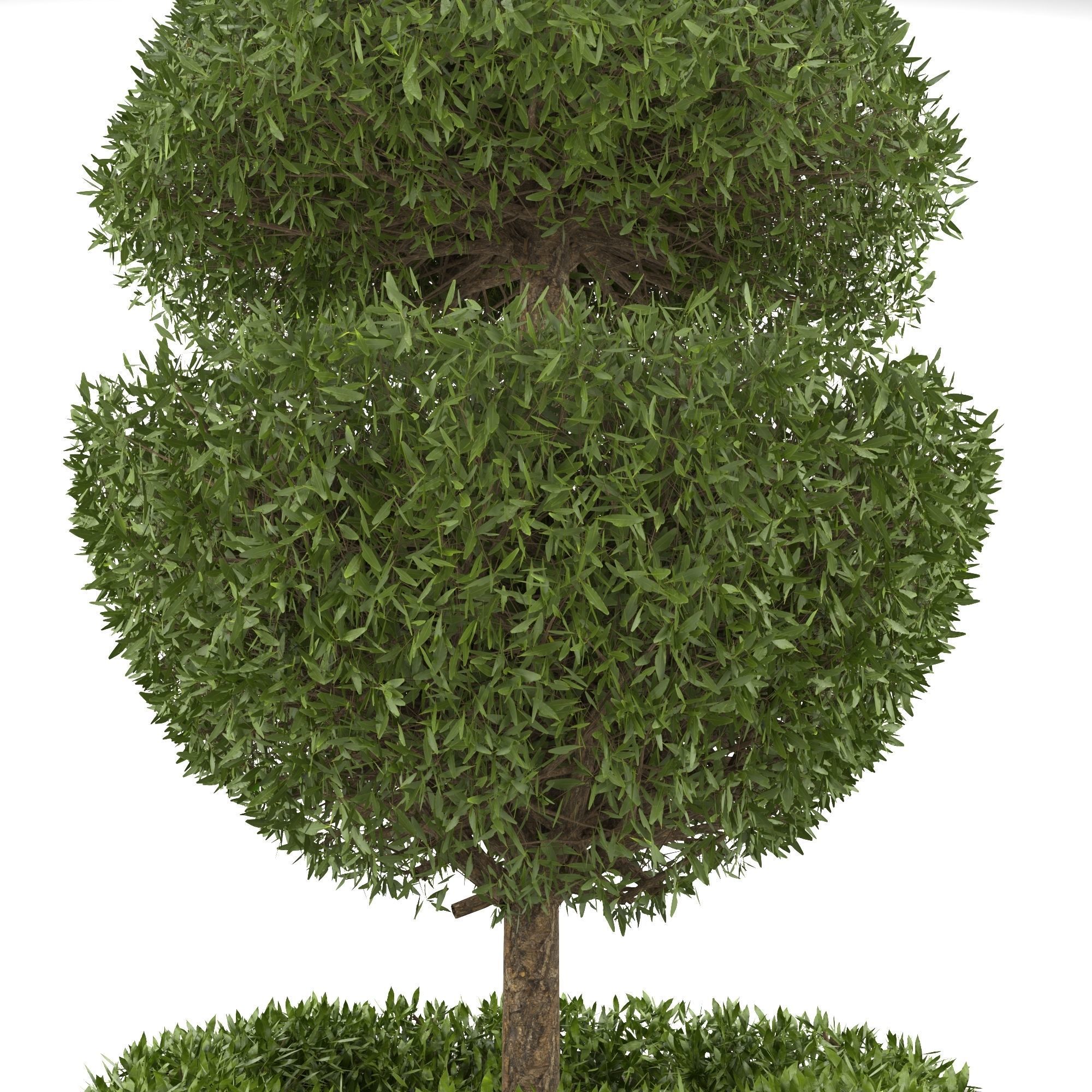 Outdoor bush free 3D model | CGTrader