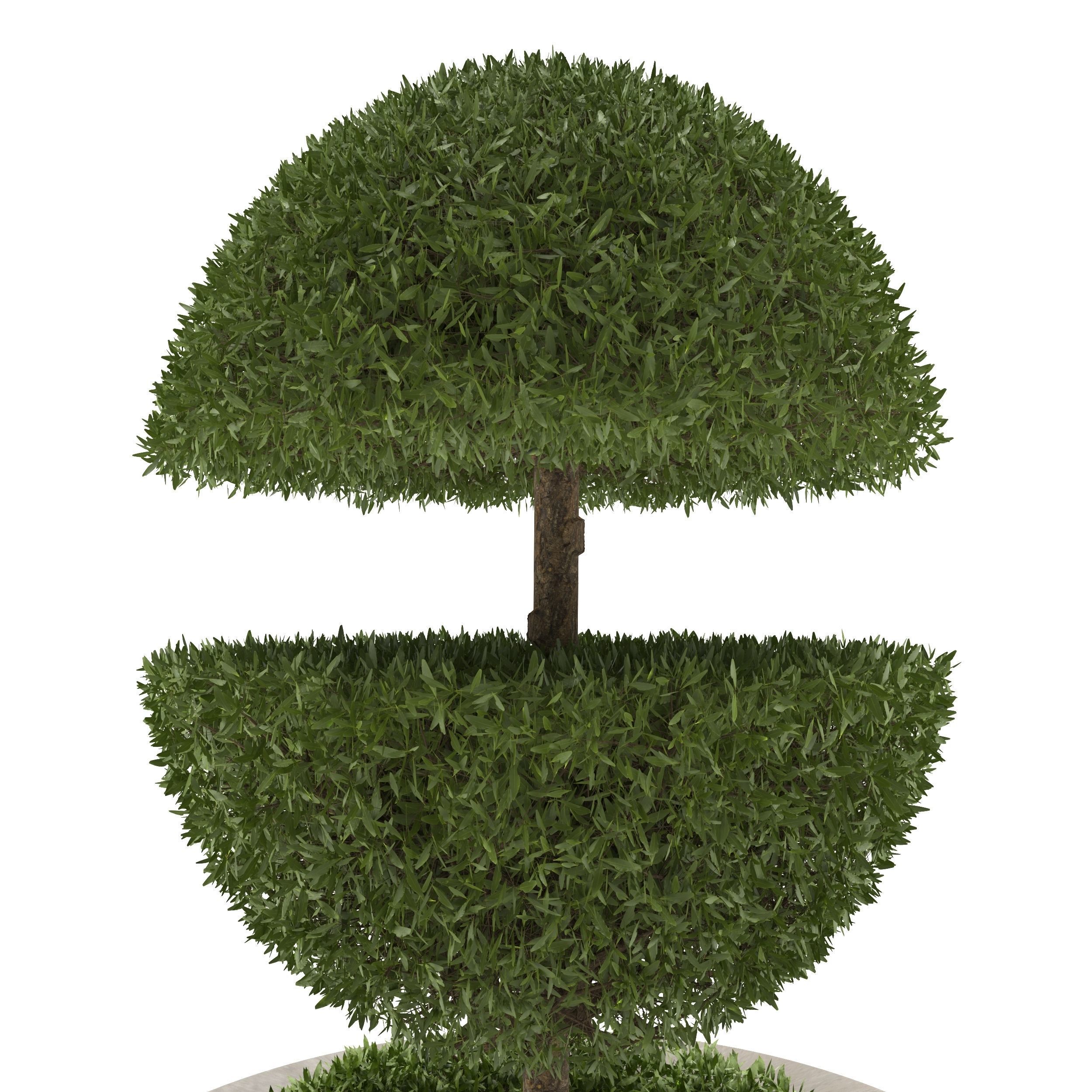 Outdoor bush free 3D model | CGTrader