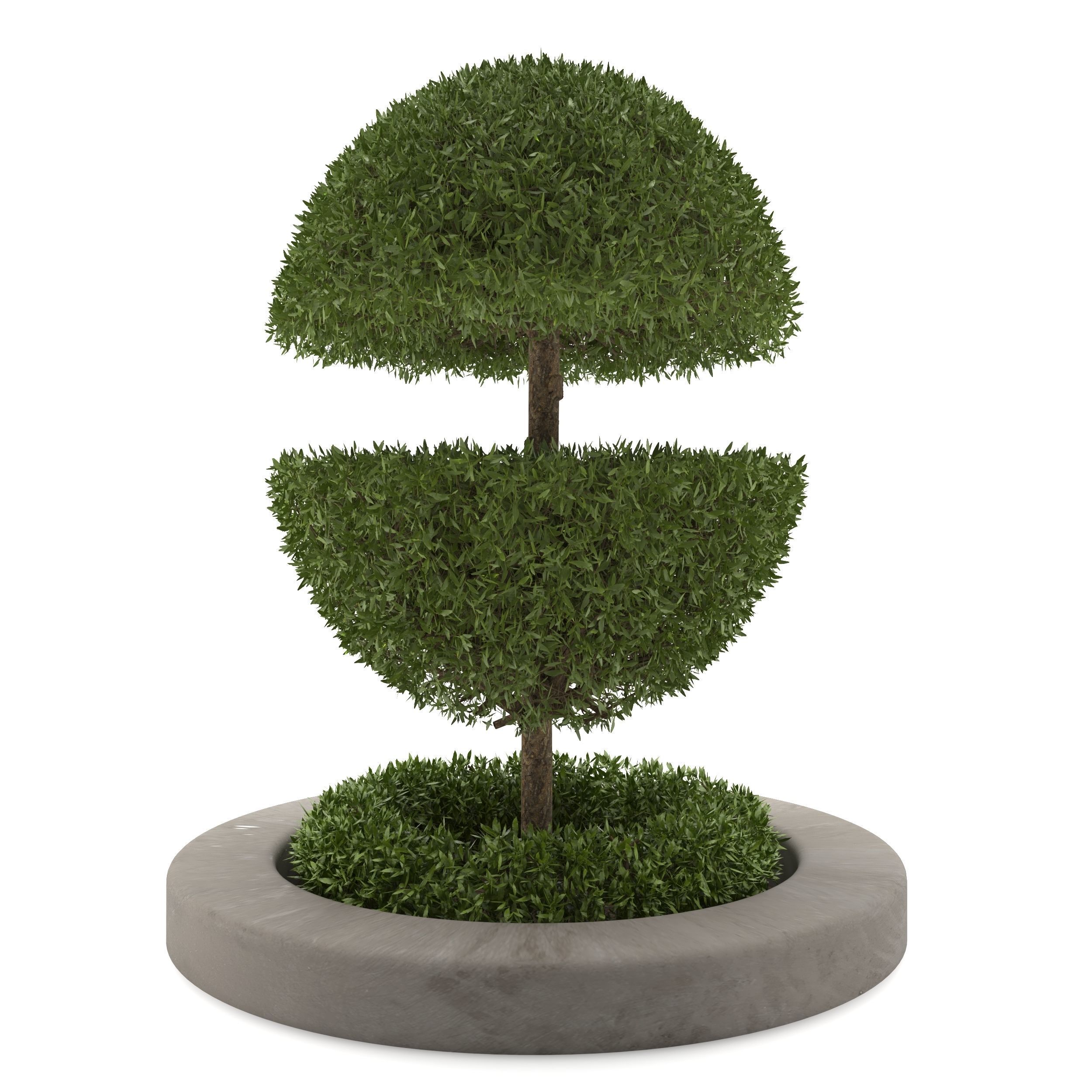 Outdoor bush free 3D model | CGTrader